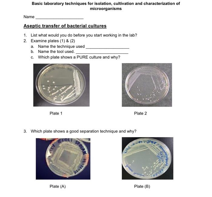 Solved Basic laboratory techniques for isolation, | Chegg.com