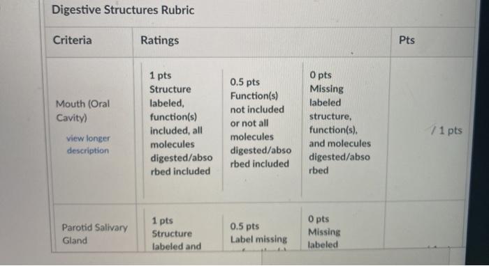 Solved Digestive Structures Rubric Criteria Ratings Pts 1 | Chegg.com