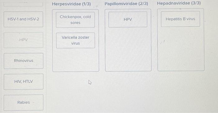 Solved Classify the diseases or DNA viruses into the correct | Chegg.com