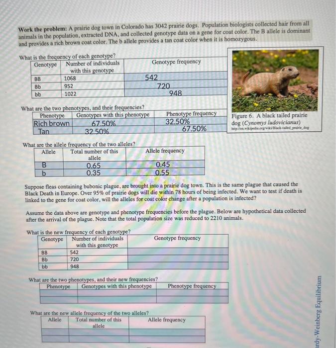 Solved Work the problem: A prairie dog town in Colorado has | Chegg.com