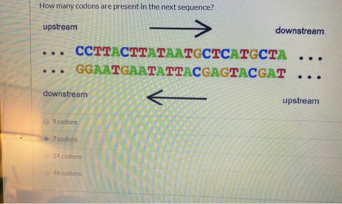 Solved How many codons are present in the next sequence? | Chegg.com