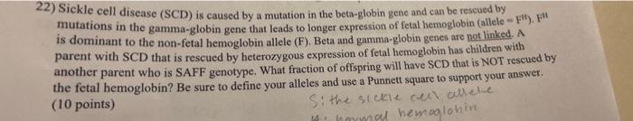 22) Sickle cell disease (SCD) is caused by a mutation | Chegg.com