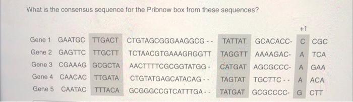 Solved What is the consensus sequence for the Pribnow box | Chegg.com Solved What is the consensus sequence for the Pribnow box | Chegg.com