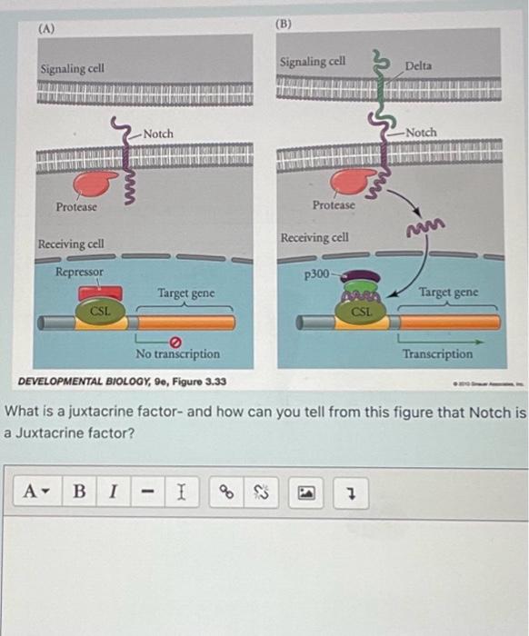 Solved What is a juxtacrine factor- and how can you tell | Chegg.com