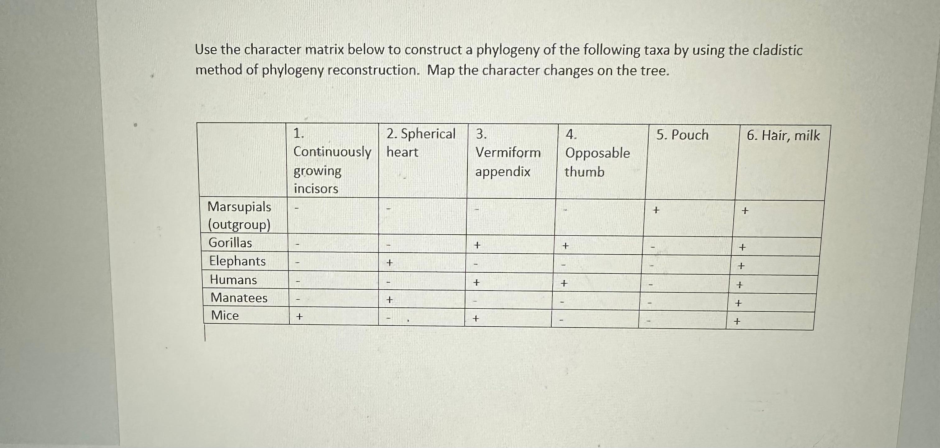 Solved Use the character matrix below to construct a | Chegg.com