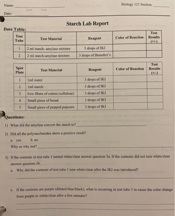 Solved Name: Biology 121 Section: La Date: Starch Lab Report | Chegg.com