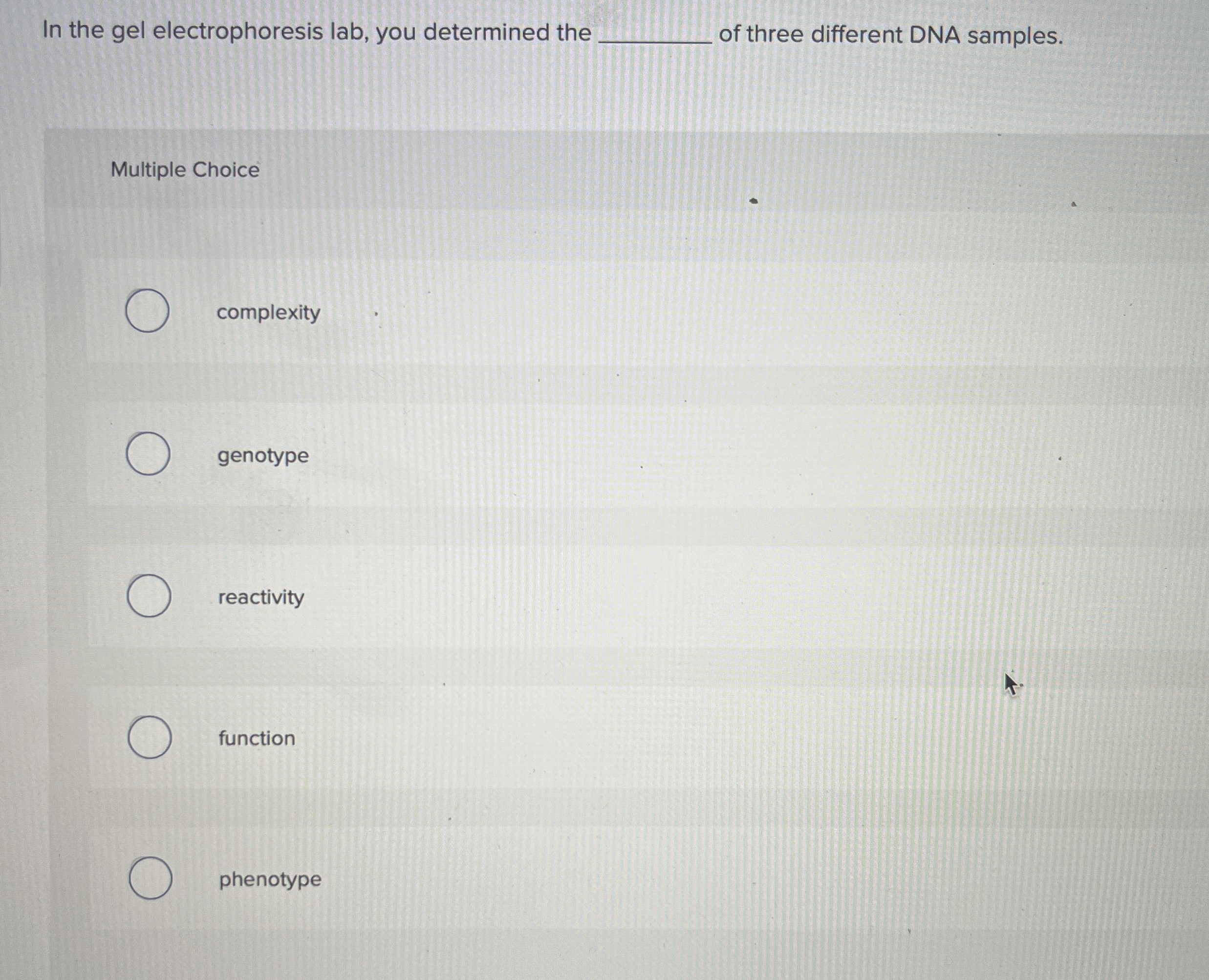 Solved In the gel electrophoresis lab, you determined the of | Chegg.com
