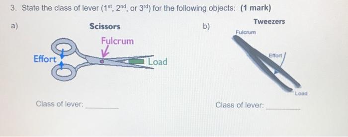 Solved 3. State the class of lever (1st, 2nd, or 3rd) for | Chegg.com