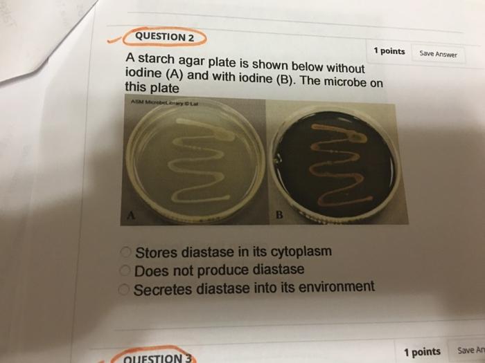 Solved Save Answer QUESTION 2 1 points A starch agar plate | Chegg.com