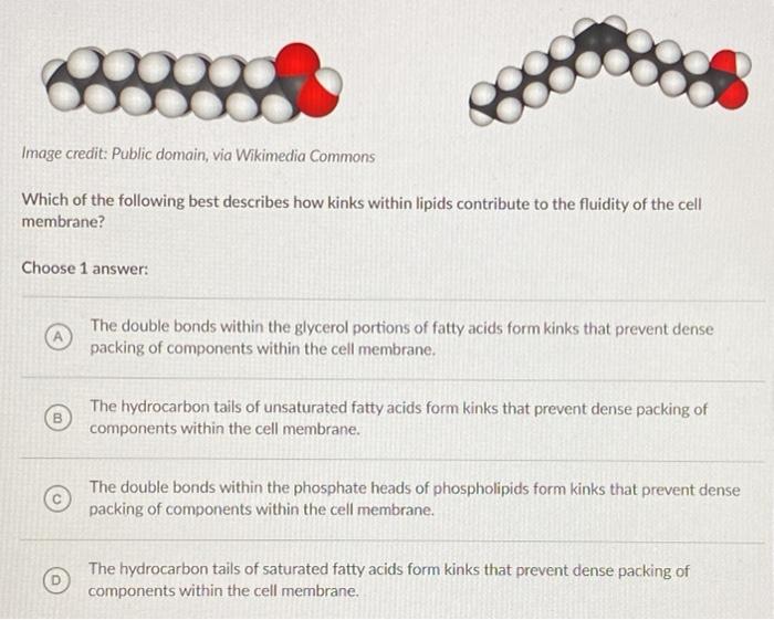 Solved Time point Partial scale cover (mirror) Intermediate | Chegg.com