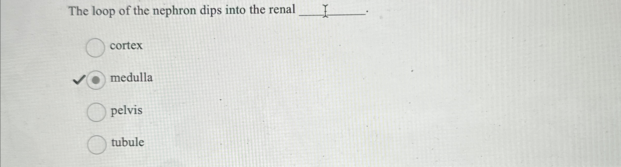 Solved The loop of the nephron dips into the renal | Chegg.com