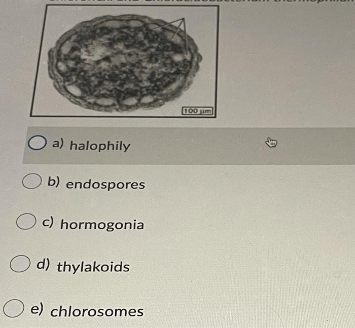 Solved Which feature, which is indicated in the following | Chegg.com