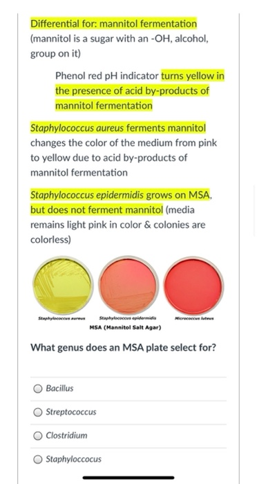 Solved 1. alpha-hemolysis: partial hemolysis seen as a green | Chegg.com