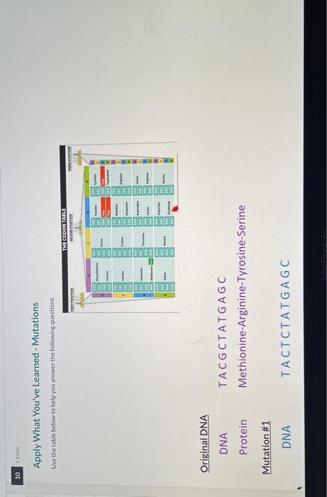 Solved 10 1 poin Apply What You've Learned - Mutations Use | Chegg.com