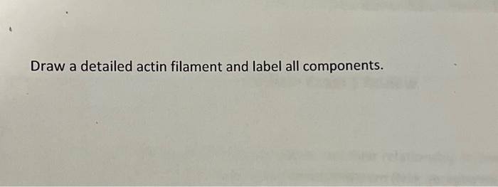 Solved Draw a detailed actin filament and label all | Chegg.com