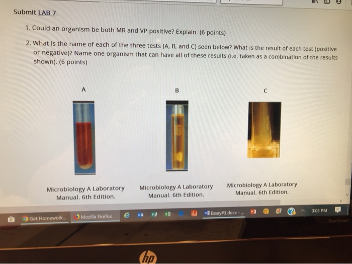 Submit LAB 7 1. Could an organism be both MR and VP | Chegg.com