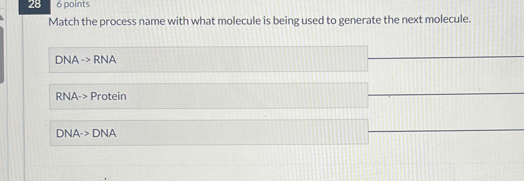 Solved 286 ﻿pointsMatch the process name with what molecule | Chegg.com