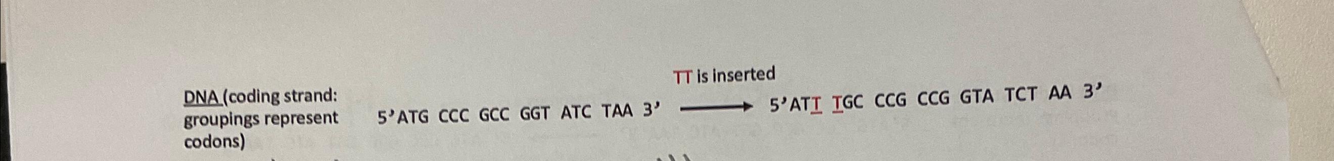 Solved DNA (coding strand:groupings represent 5' ﻿ATG CCC | Chegg.com
