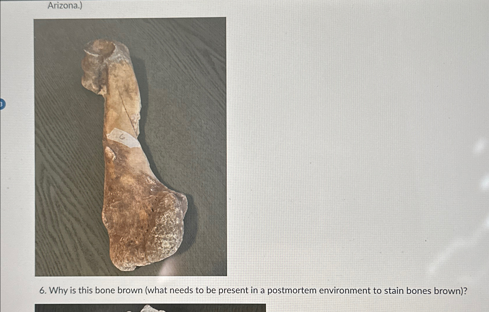 Solved Arizona.)6. ﻿Why is this bone brown (what needs to be | Chegg.com