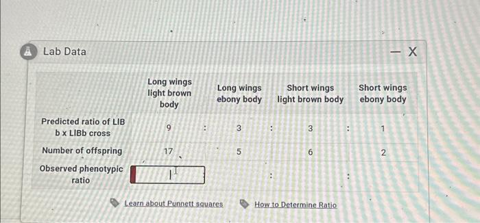 Solved Lab Data Predicted ratio of LIB b x LIBb cross Number | Chegg.com