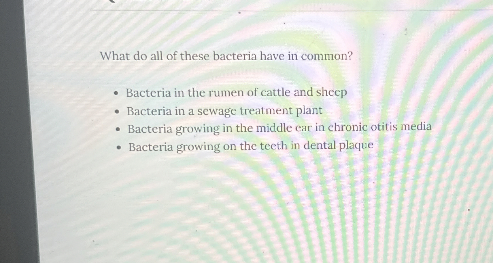 Solved What do all of these bacteria have in common?Bacteria | Chegg.com