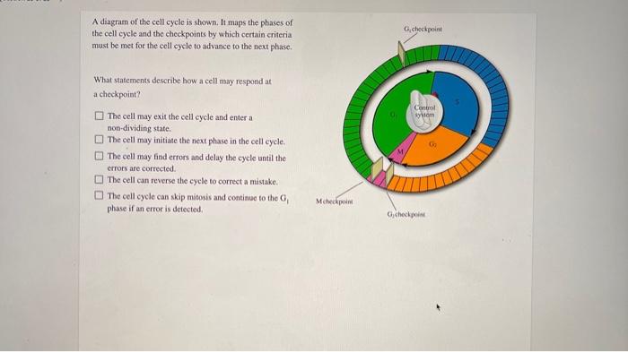 Solved A diagram of the cell cycle is shown. It maps the | Chegg.com