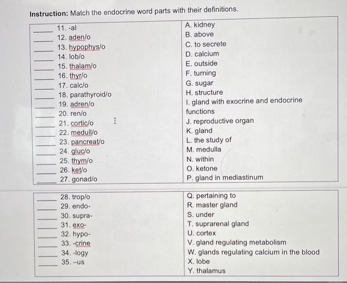 Solved Instruction: Match the endocrine word parts with | Chegg.com