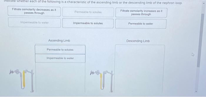 Solved Tnoicate whether each of the following is a | Chegg.com