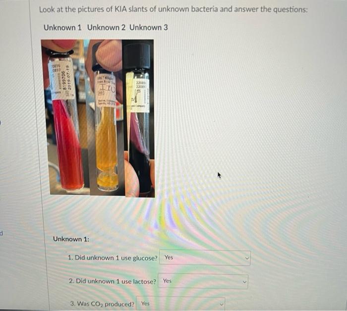 Solved d Look at the pictures of KIA slants of unknown | Chegg.com