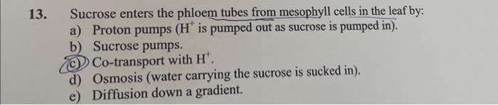 Solved 13. Sucrose enters the phloem tubes from mesophyll | Chegg.com