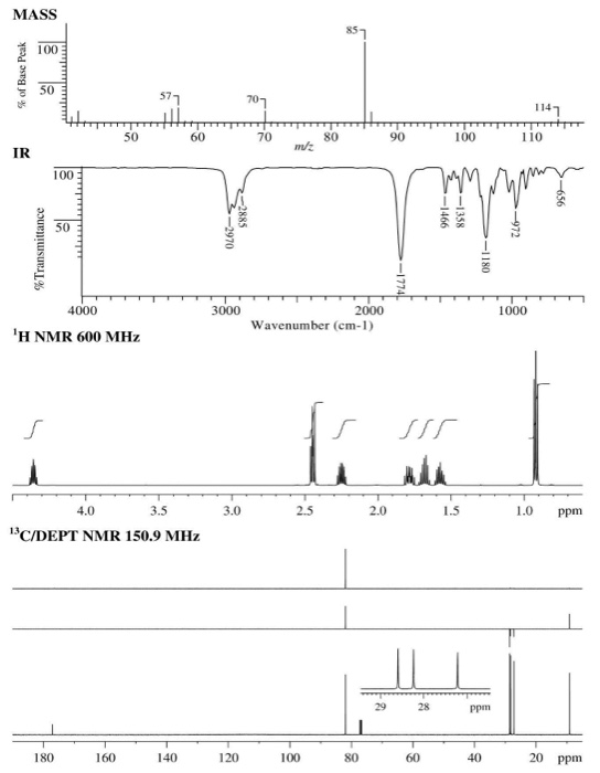Based on the spectra (MS, IR, H-NMR, C-NMR, DEPT, | Chegg.com