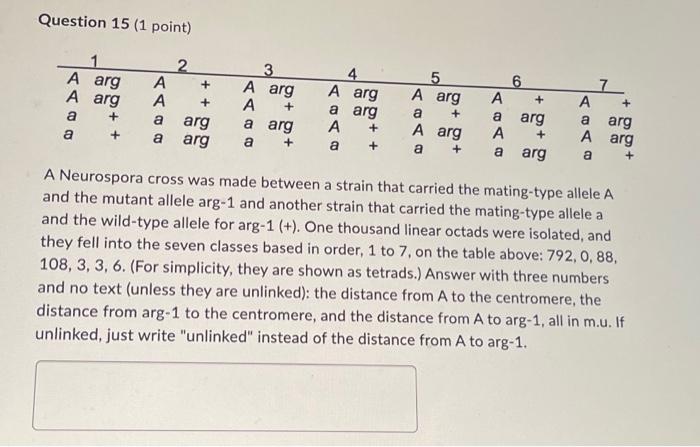Solved Question 15 ( 1 point) A Neurospora cross was made | Chegg.com