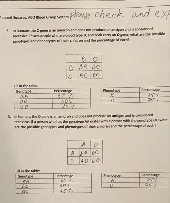 Solved Punnett Squares: ABO Blood Group System please check | Chegg.com