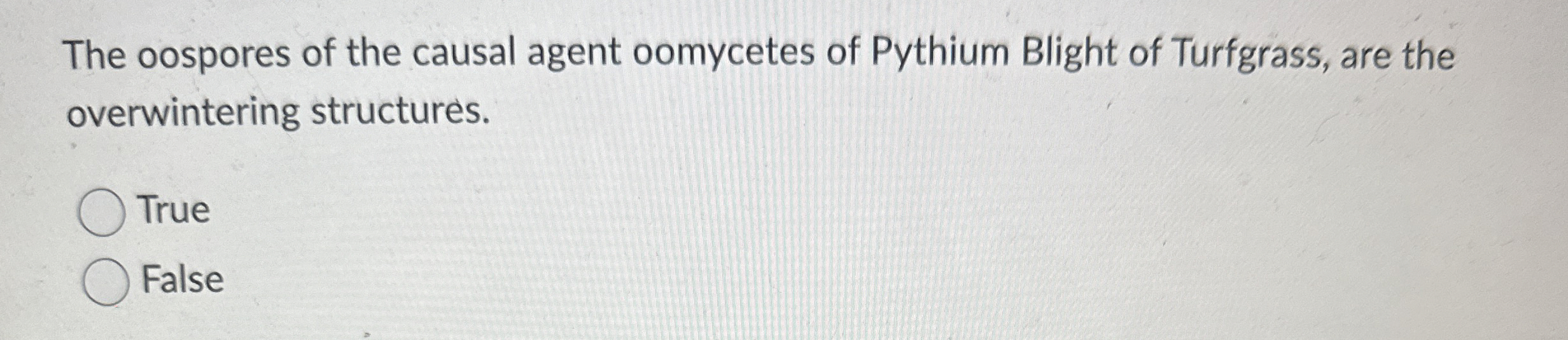 Solved The oospores of the causal agent oomycetes of Pythium | Chegg.com