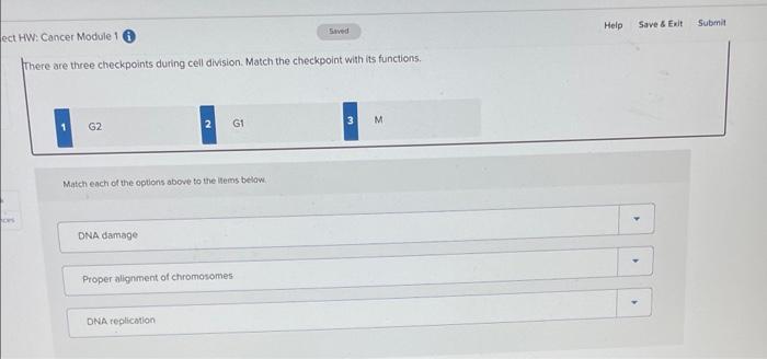 Solved There are three checkpoints during cell division. | Chegg.com
