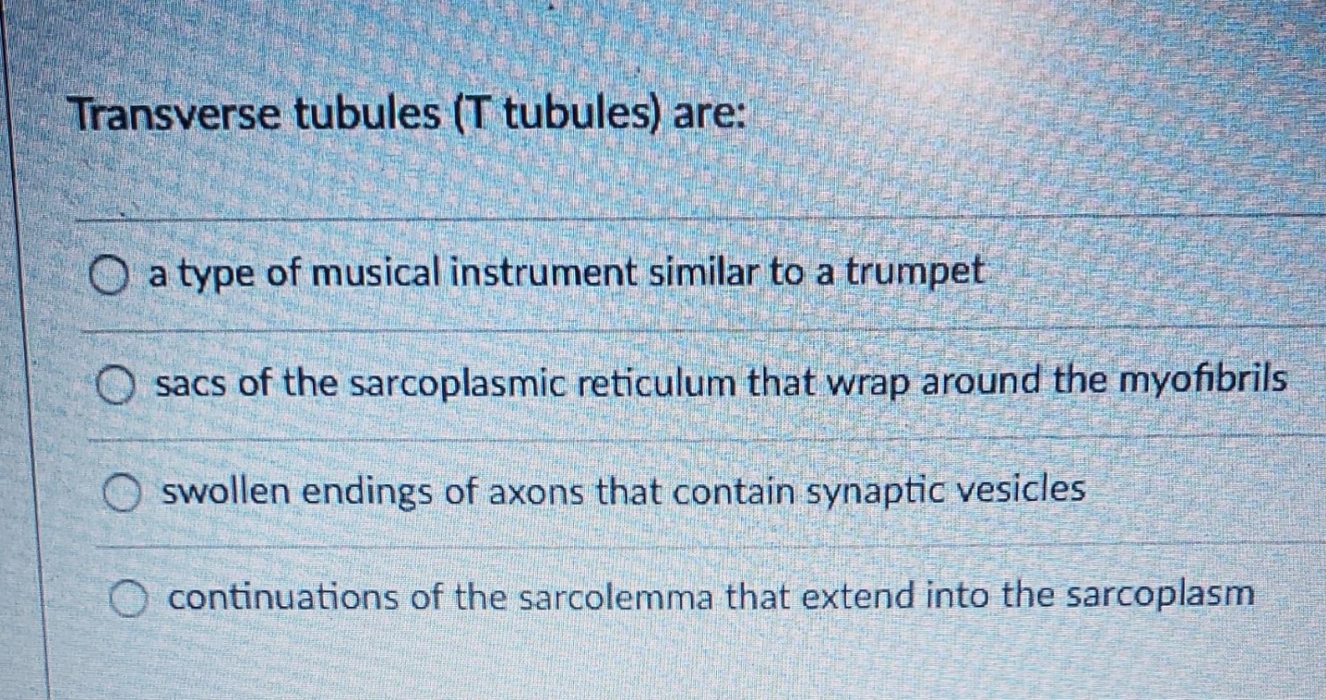 Solved Transverse tubules (T tubules) are: O a type of | Chegg.com