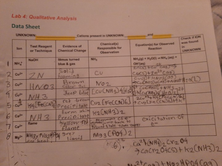 Lab 4: Qualitative Analysis Data Sheet UNKNOWN | Chegg.com