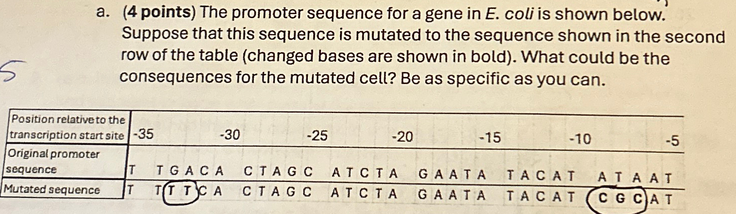 Solved Please help with this promoter sequece! | Chegg.com
