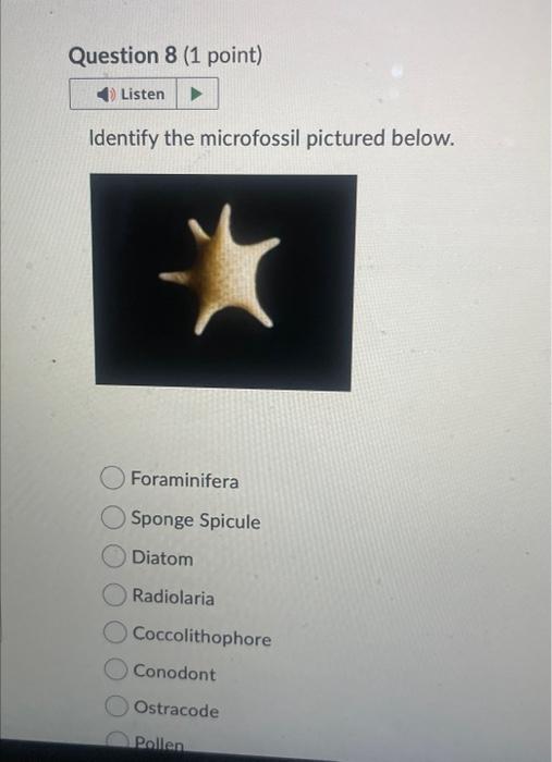Solved Identify the microfossil pictured | Chegg.com