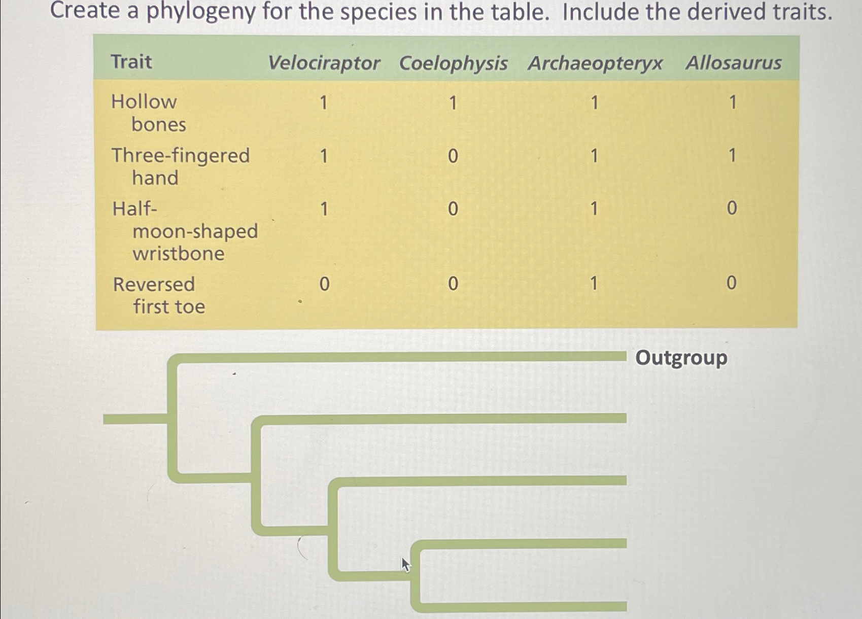 Solved Create a phylogeny for the species in the table. | Chegg.com