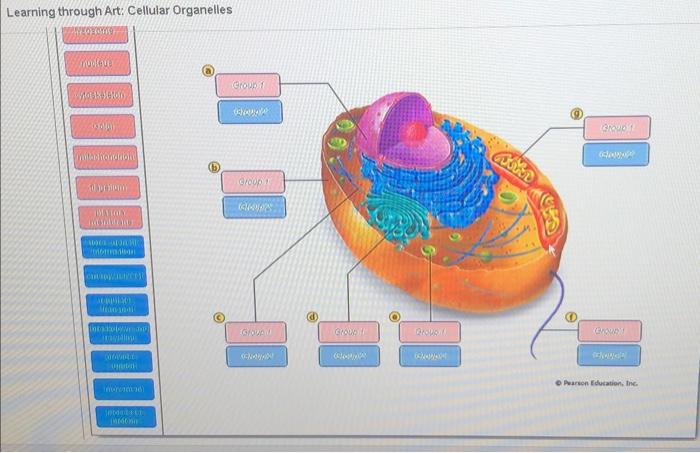 Learning through Art: Cellular Organelles | Chegg.com