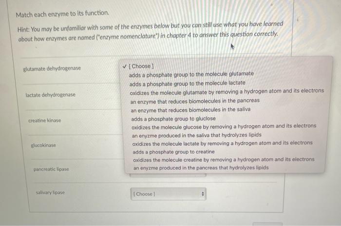 Solved Match each enzyme to its function. Hint: You may be | Chegg.com