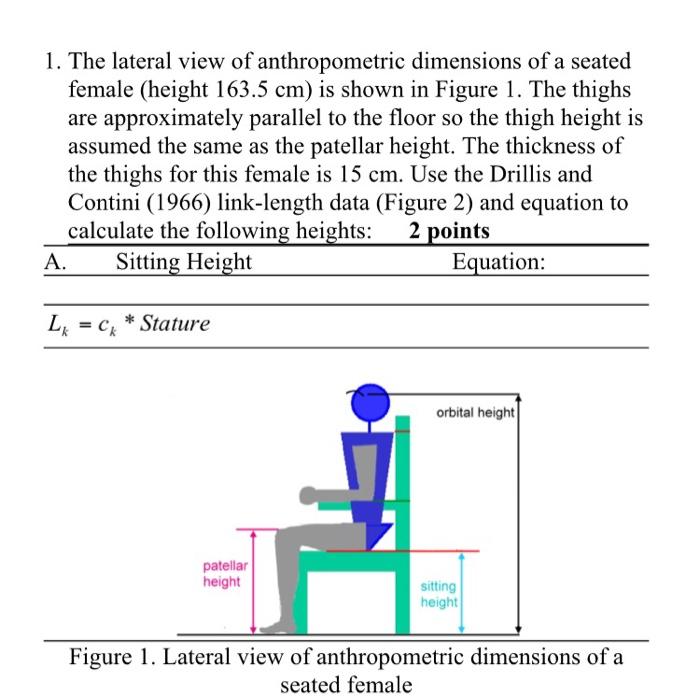 Solved 1. The lateral view of anthropometric dimensions of a | Chegg.com
