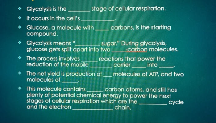 Solved • Glycolysis is the stage of cellular respiration. • | Chegg.com