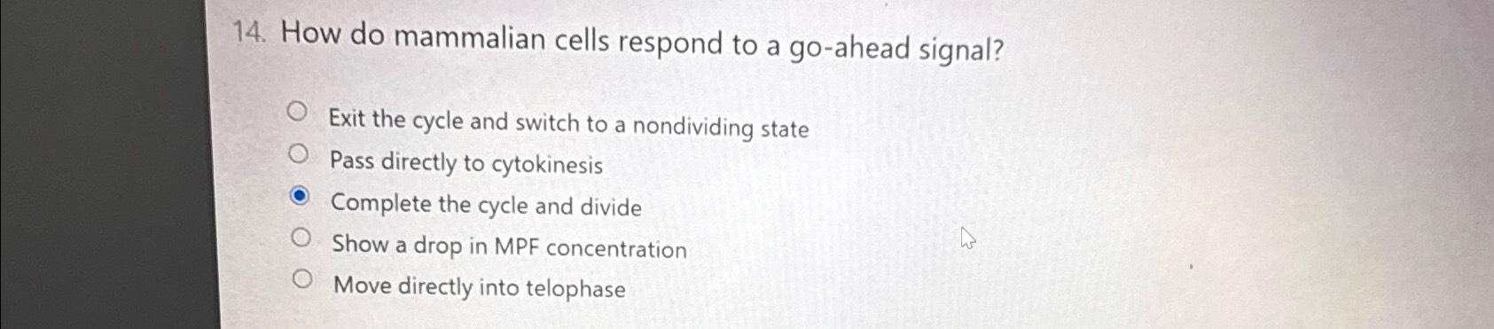 Solved How do mammalian cells respond to a go-ahead | Chegg.com