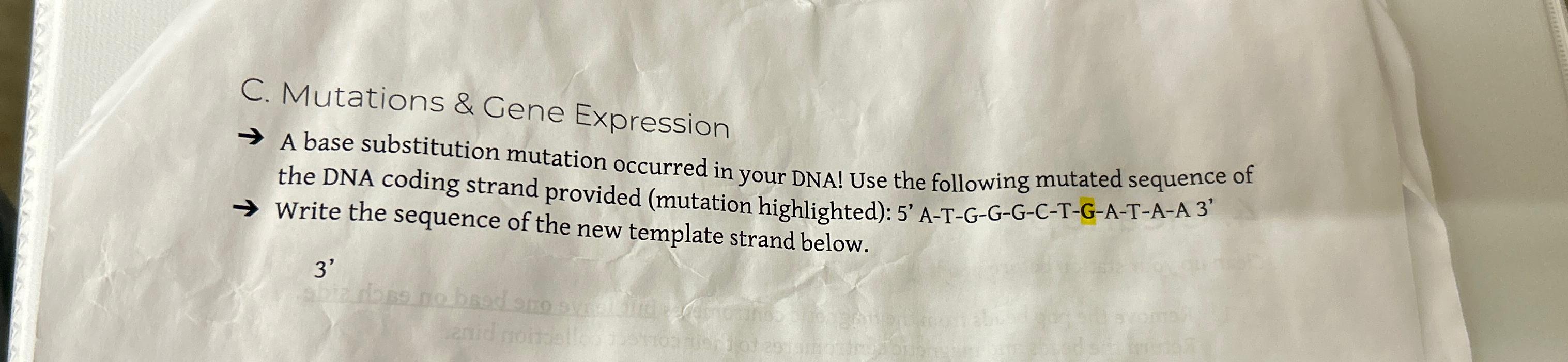 Solved C. ﻿Mutations & Gene Expression→ ﻿A base substitution | Chegg.com