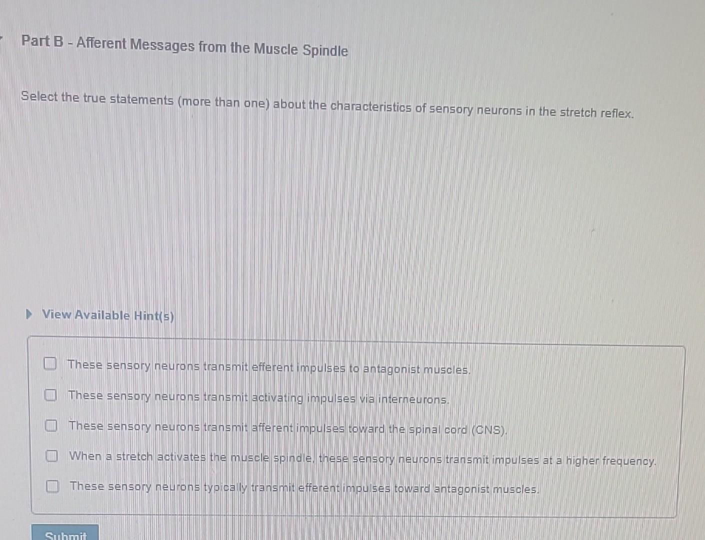 Solved Part B - Afferent Messages from the Muscle Spindle | Chegg.com