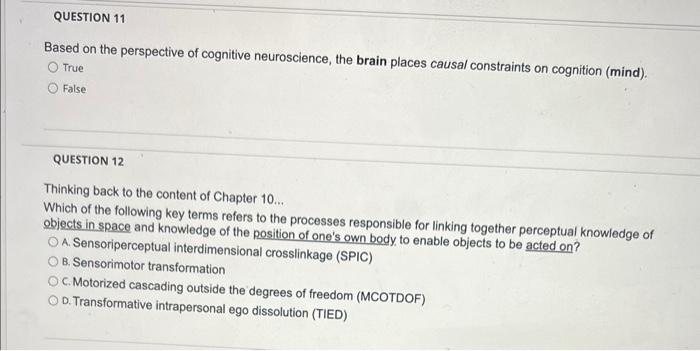 Solved Based on the perspective of cognitive neuroscience, | Chegg.com
