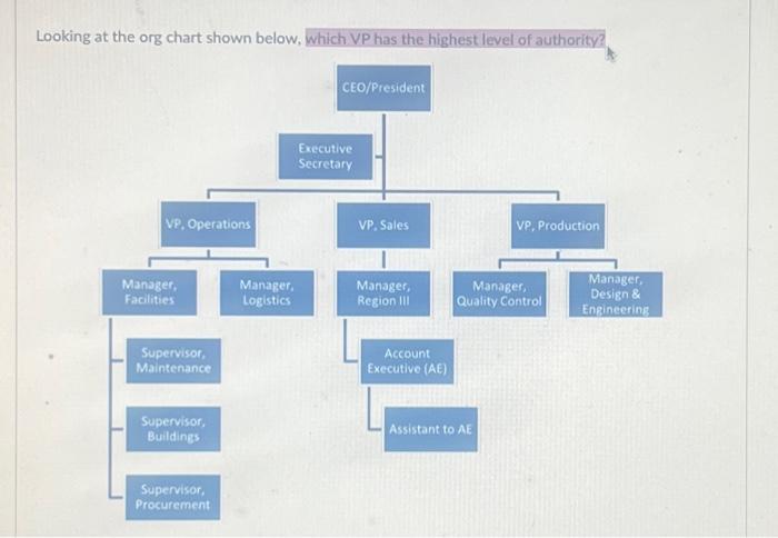 Solved Looking at the org chart shown below, which VP has | Chegg.com