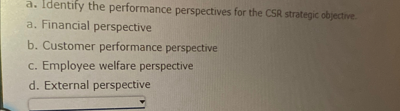 Solved a. ﻿Identify the performance perspectives for the CSR | Chegg.com